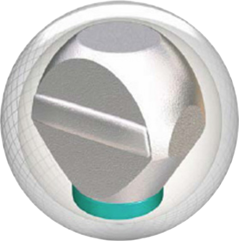 Storm Shape-Lock Core | bowwwl.com